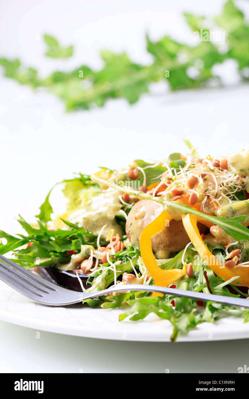 Rocket salad with button mushrooms and lentil sprouts Stock Photo - Alamy