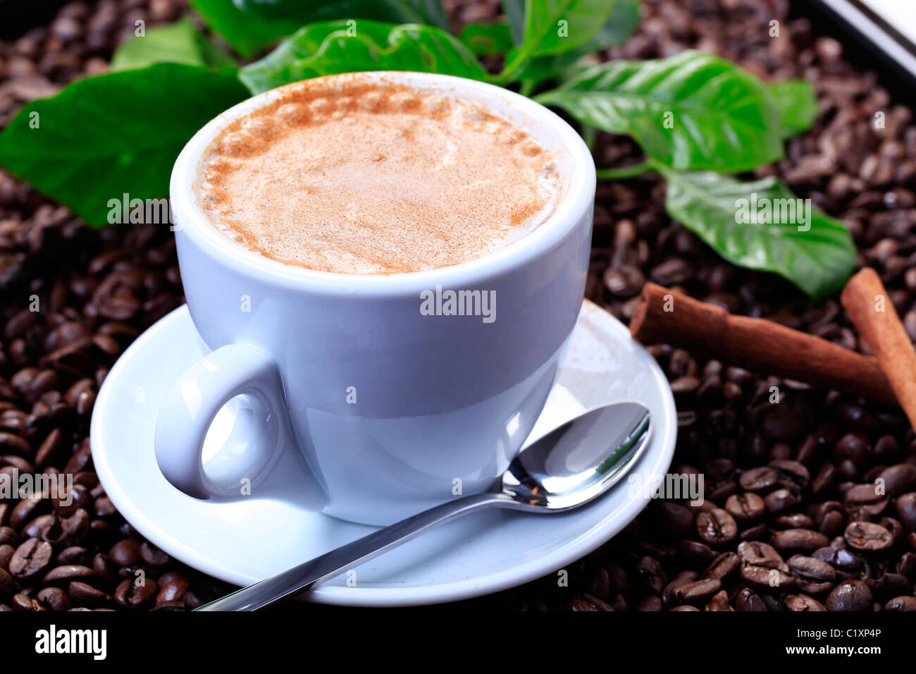 Cup of cappuccino with milk froth and cinnamon Stock Photo - Alamy