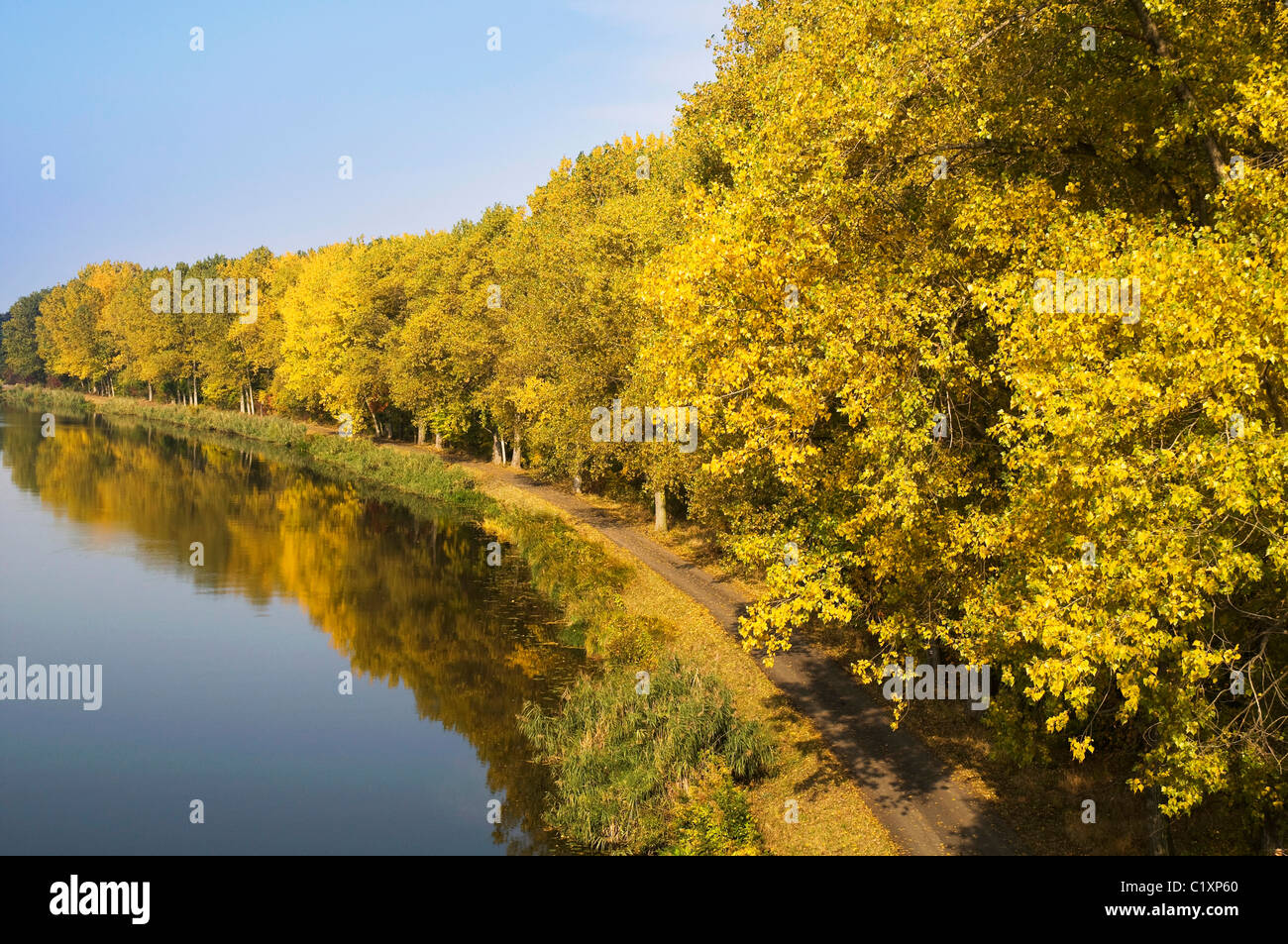 Lake lined with trees hi-res stock photography and images - Alamy