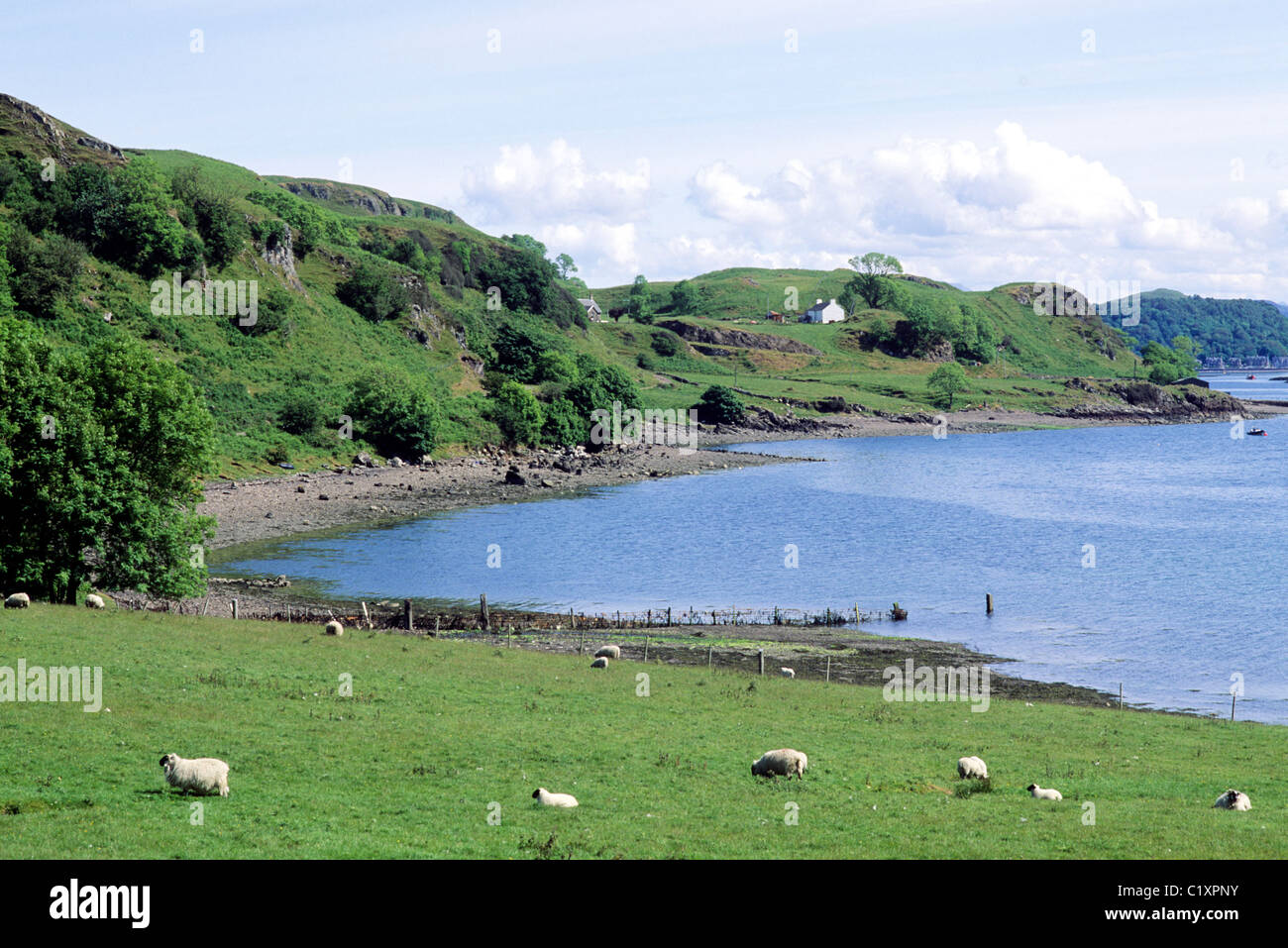 Kerrera horseshoe bay hi-res stock photography and images - Alamy