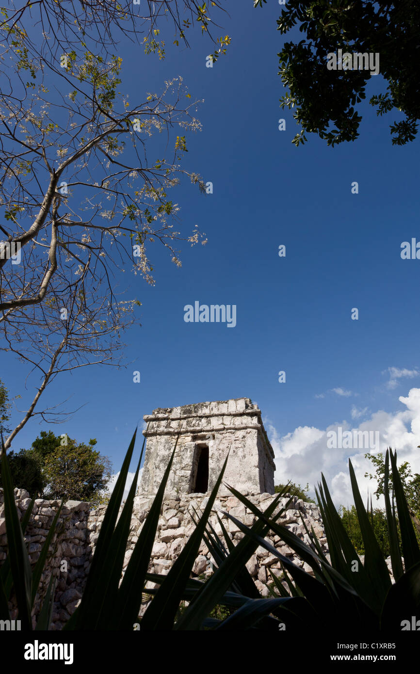 Watchtower and stone wall surrounding the Maya city of Tulum (The ...