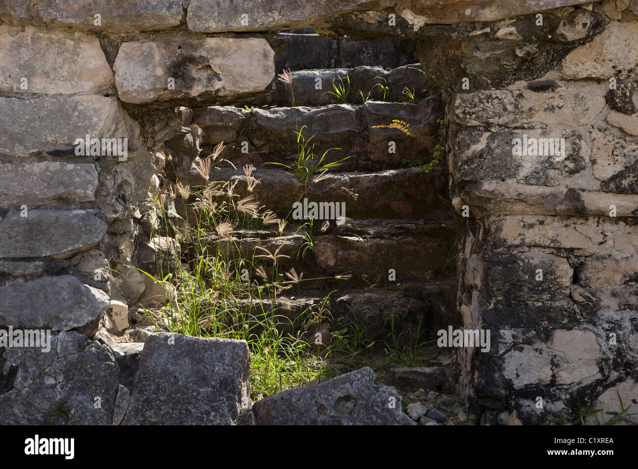 Crumbling temple walls in the Maya city of Tulum (The Walled City) in ...
