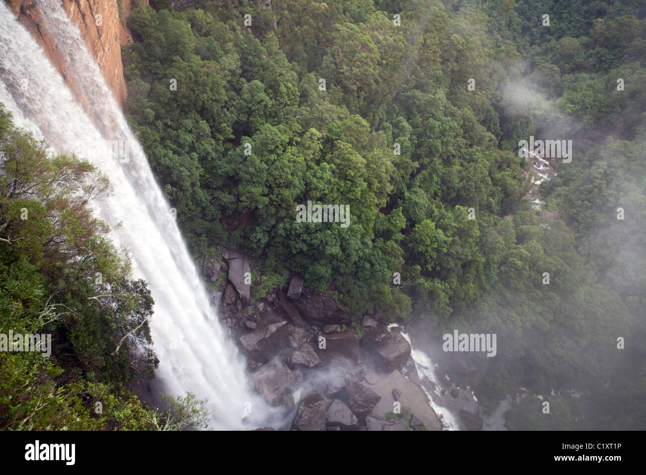 Fitzroy Falls, South Coast, NSW, Australia Stock Photo - Alamy