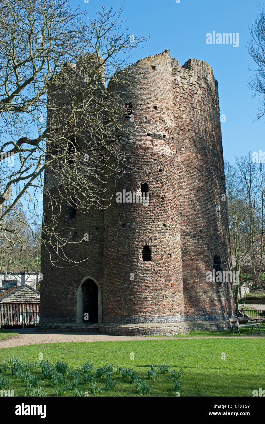 Cow Tower, Norwich Stock Photo - Alamy
