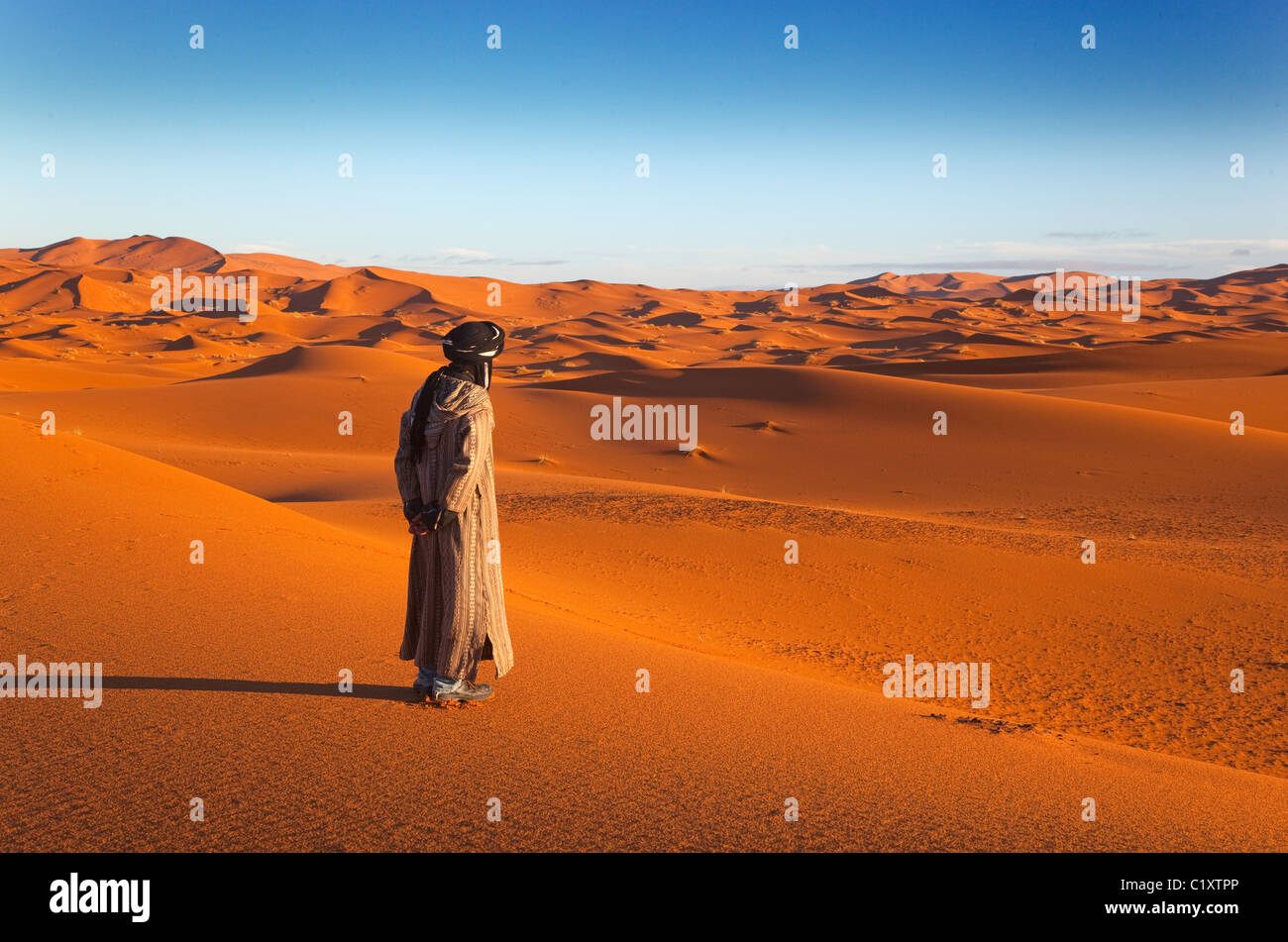 Desert march hi-res stock photography and images - Alamy