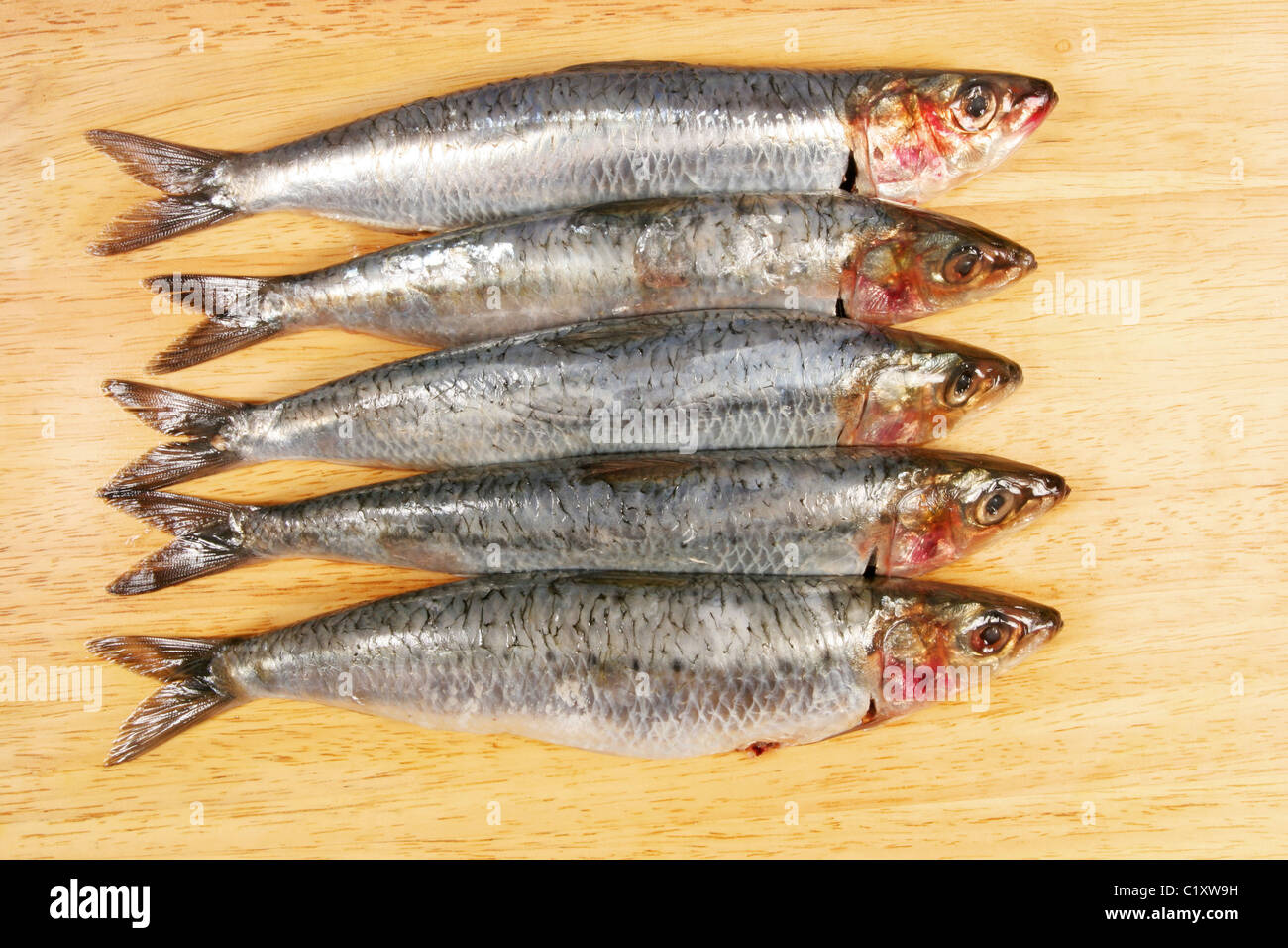 Sardine group hi-res stock photography and images - Alamy
