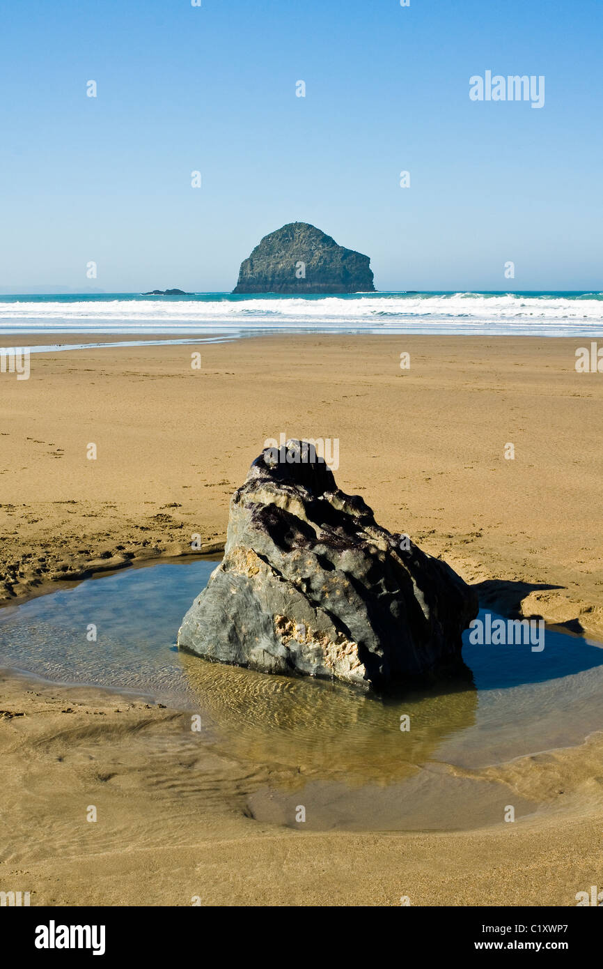 Gull rock with tis baby at Trebarwith Strand Cornwall UK Stock Photo ...