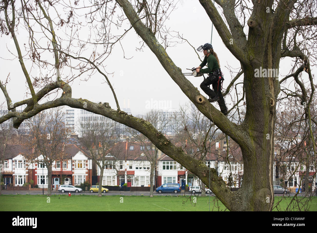A tree surgeon working as a contractor for London's Lambeth council ...