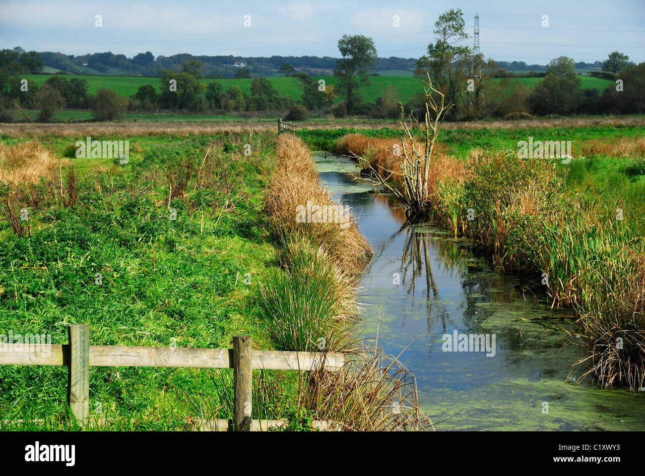 Greylake Stock Photos & Greylake Stock Images - Alamy