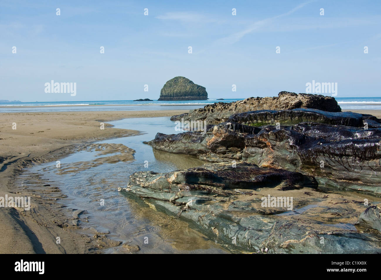 A rock pool at Trebarwith Strand Cornwall with Gull Rock in the ...