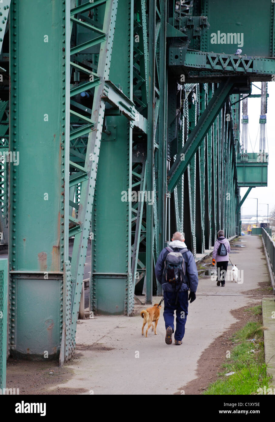 Bridge dogs hi-res stock photography and images - Alamy