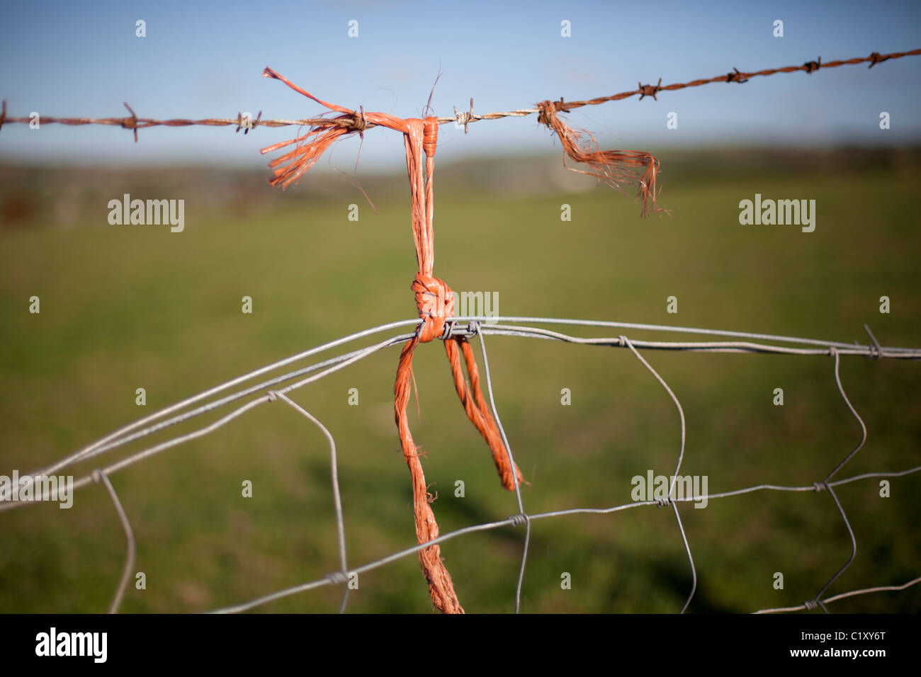 Barbed wire and string barrier at edge of field Stock Photo - Alamy