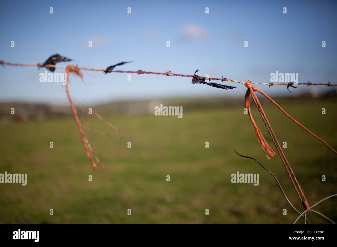String Barbed Wire High Resolution Stock Photography and Images - Alamy