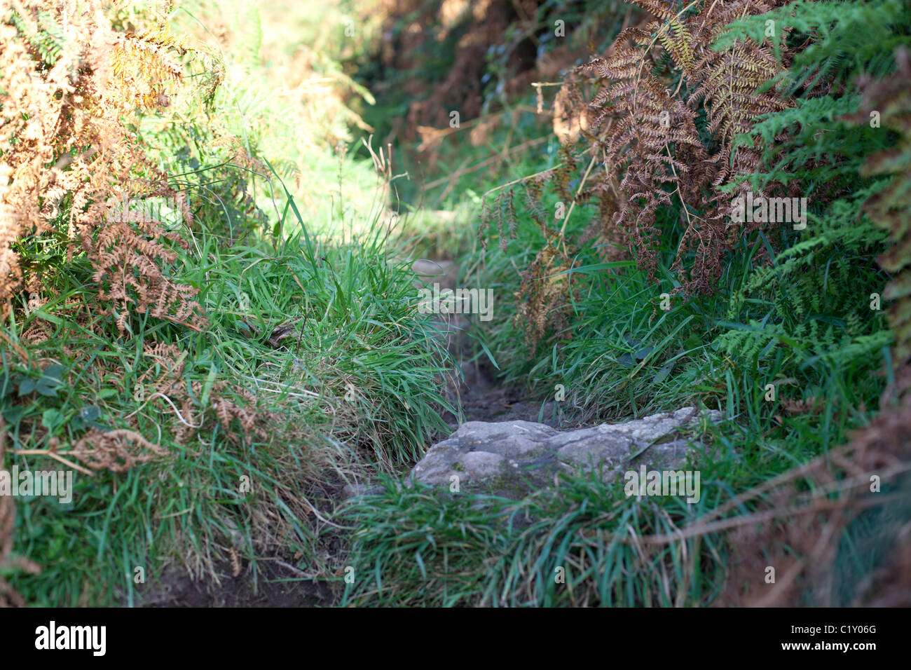 Countryside steps hi-res stock photography and images - Alamy