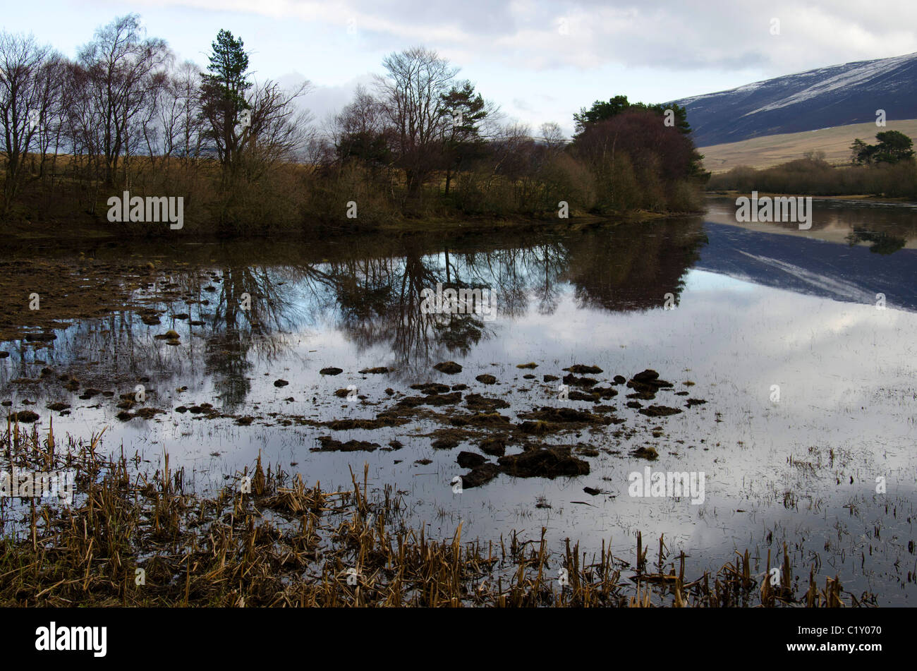 Part of Harlaw Reservoir, Edinburgh, Scotland Stock Photo - Alamy