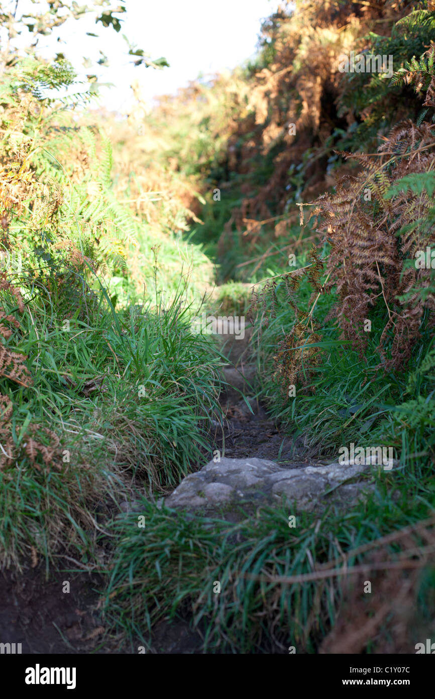 Countryside steps hi-res stock photography and images - Alamy