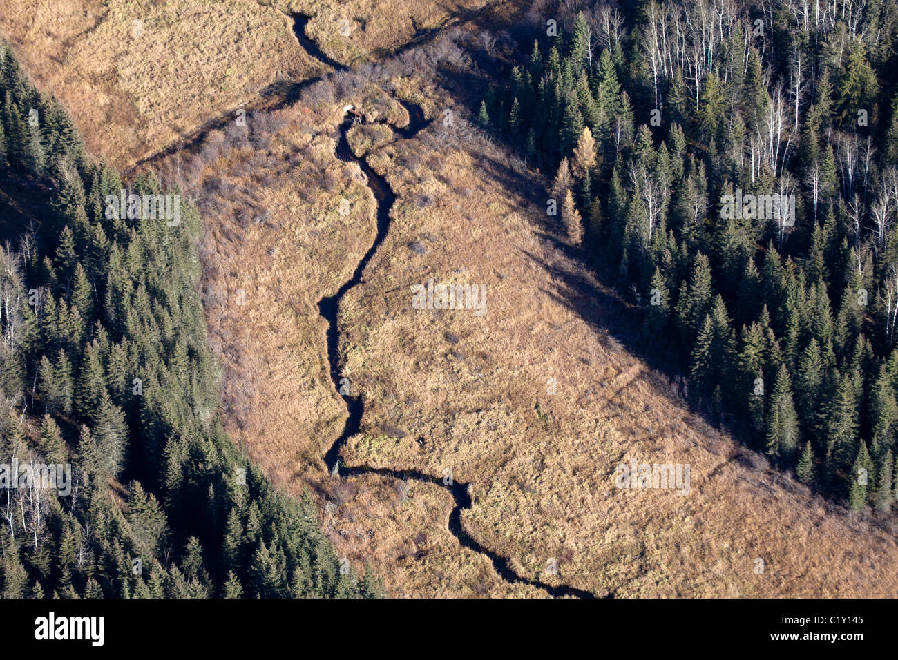 Aerial view of winding river and forests near Athabasca Oil Sands, Fort ...