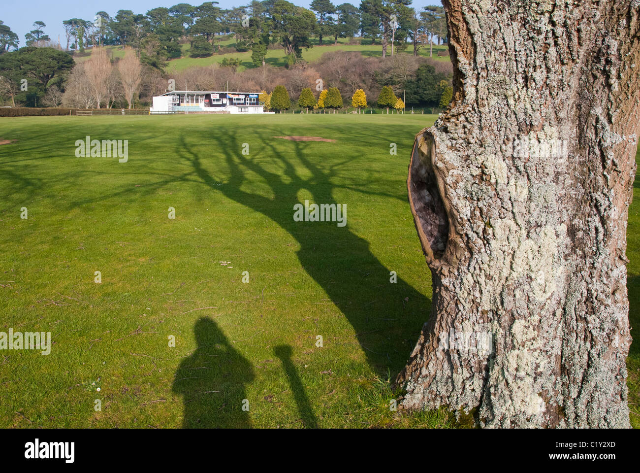 Shadow of tree and photographer Stock Photo - Alamy