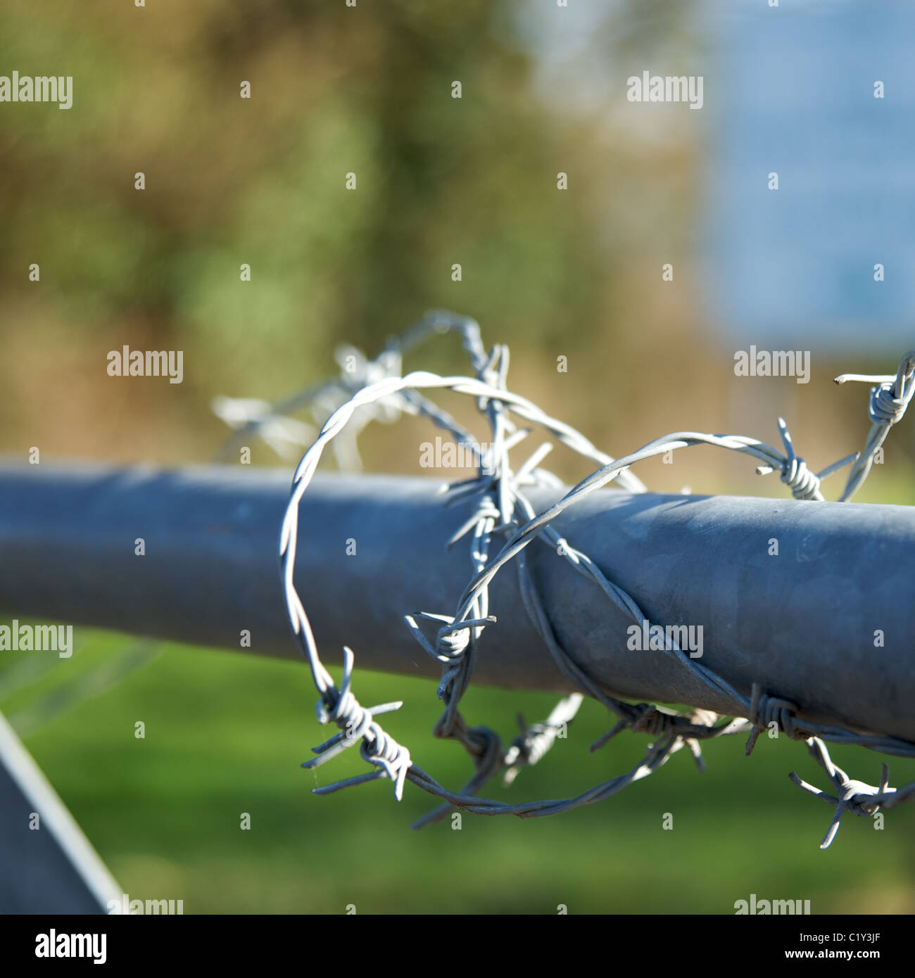 Barbed wire wrapped around a metal gate in Warwickshire, England, UK ...