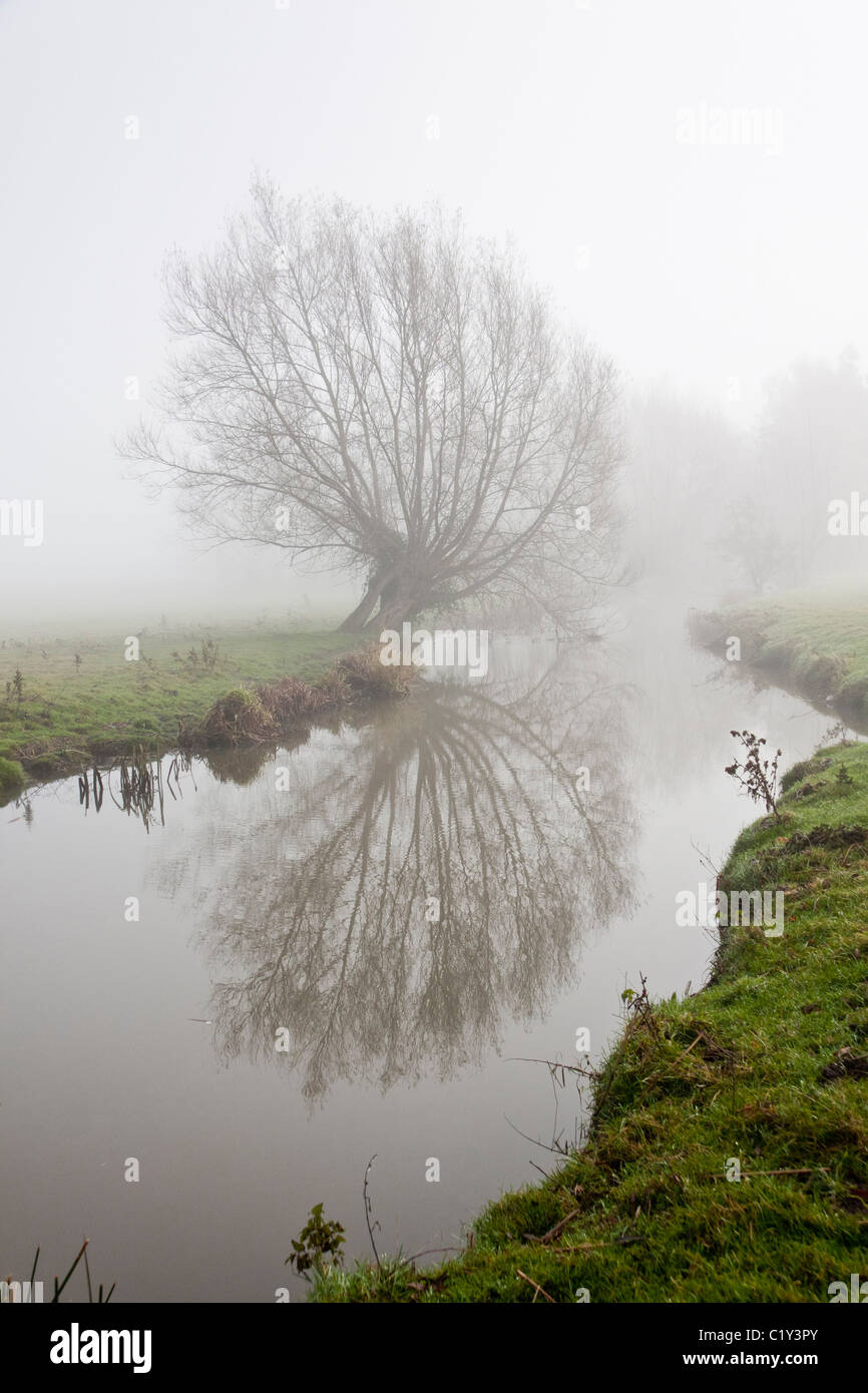 early morning mist hangs over the river Alne near Great Alne ...