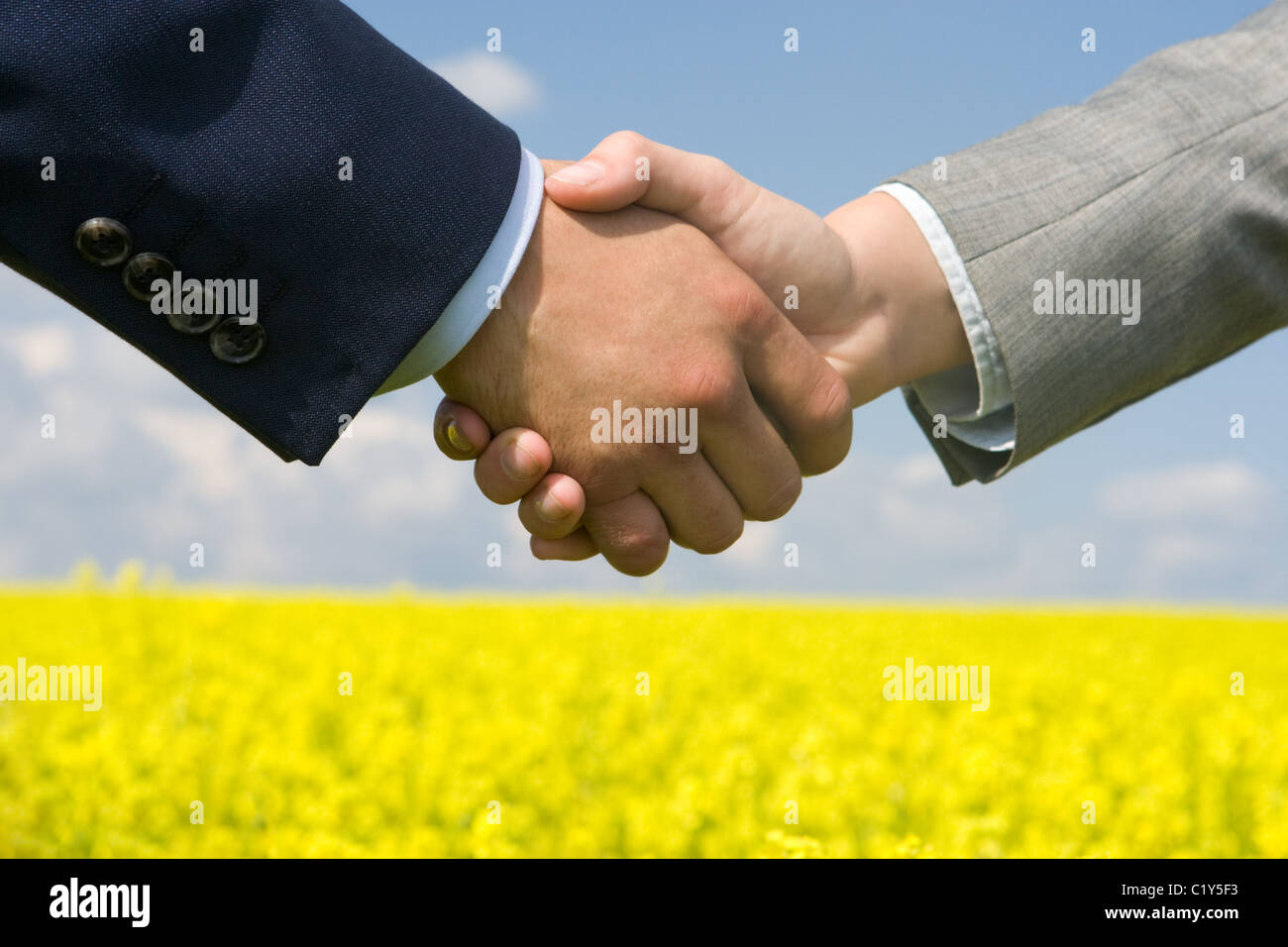 Photo of handshake of business partners after striking deal Stock Photo ...