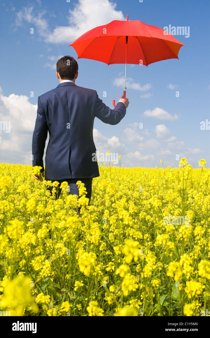 See through flower hi-res stock photography and images - Alamy