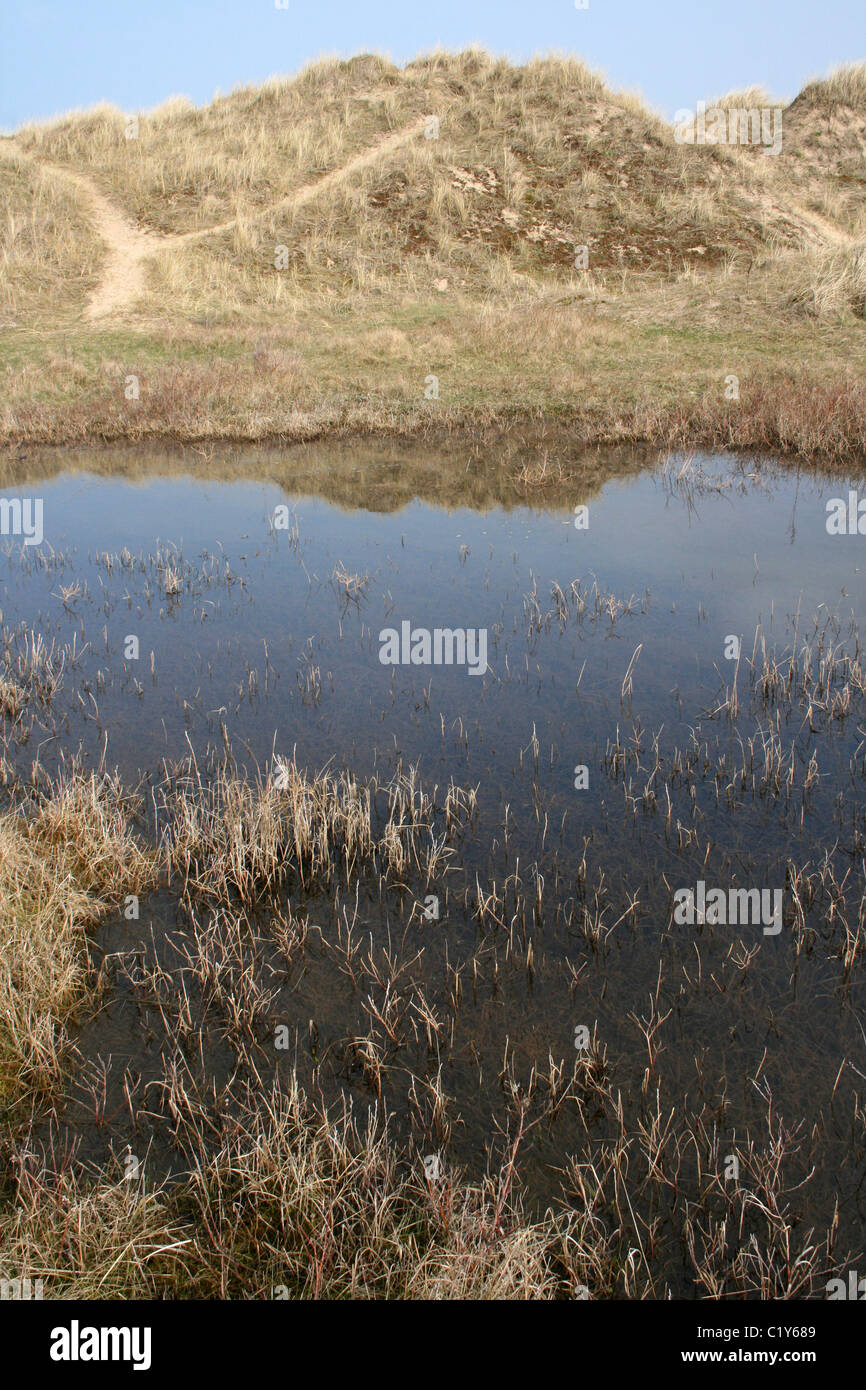 The largest sand dune system in england hi-res stock photography and ...
