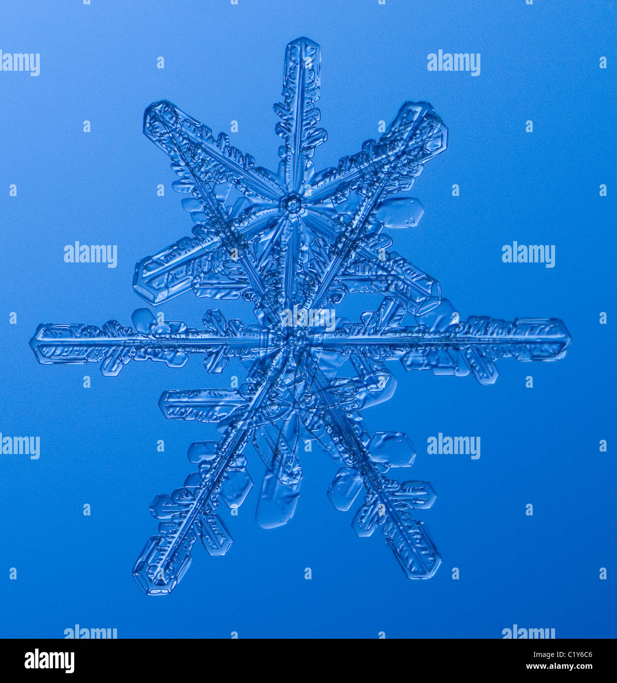 Microscopic crystals hi-res stock photography and images - Alamy