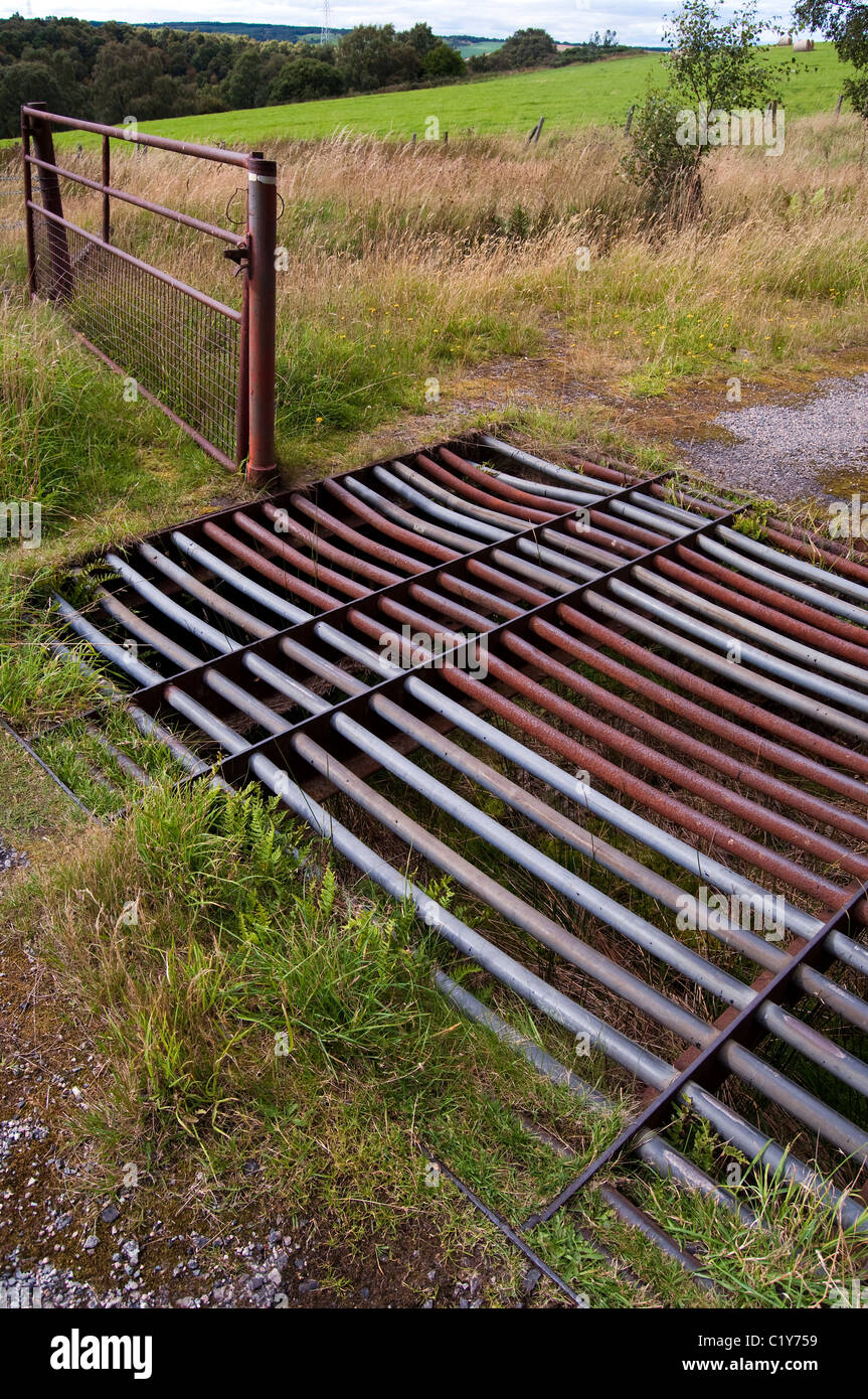 Guard grid hi-res stock photography and images - Alamy