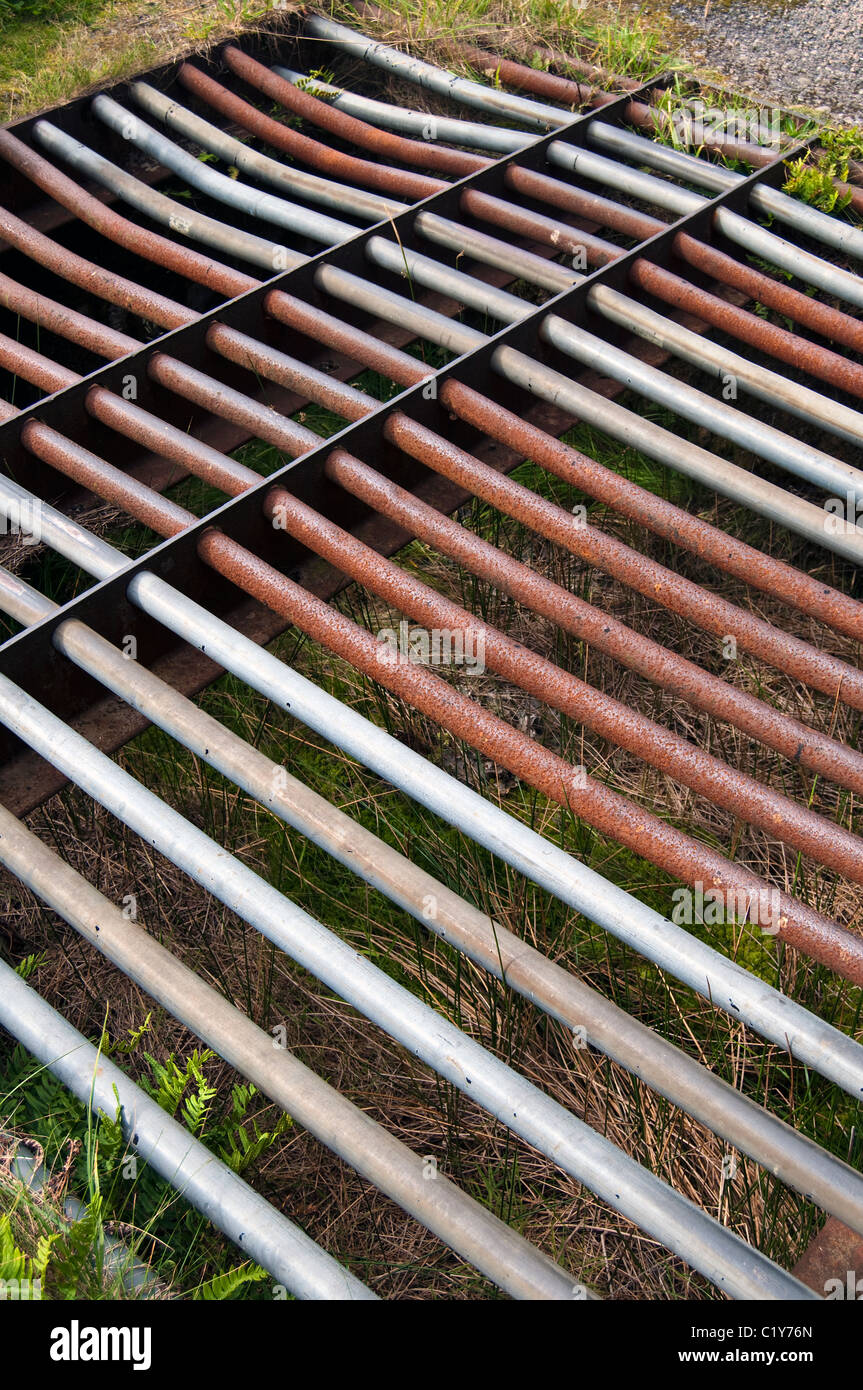 Guard grid hi-res stock photography and images - Alamy