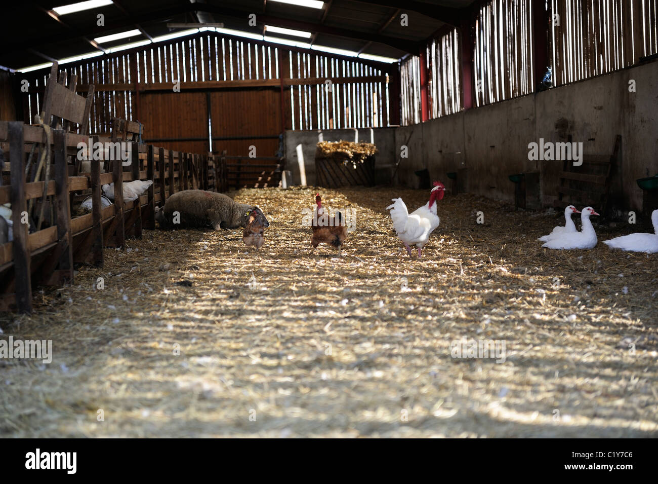 Stock photo of the inside of a large Farmers barn Stock Photo - Alamy