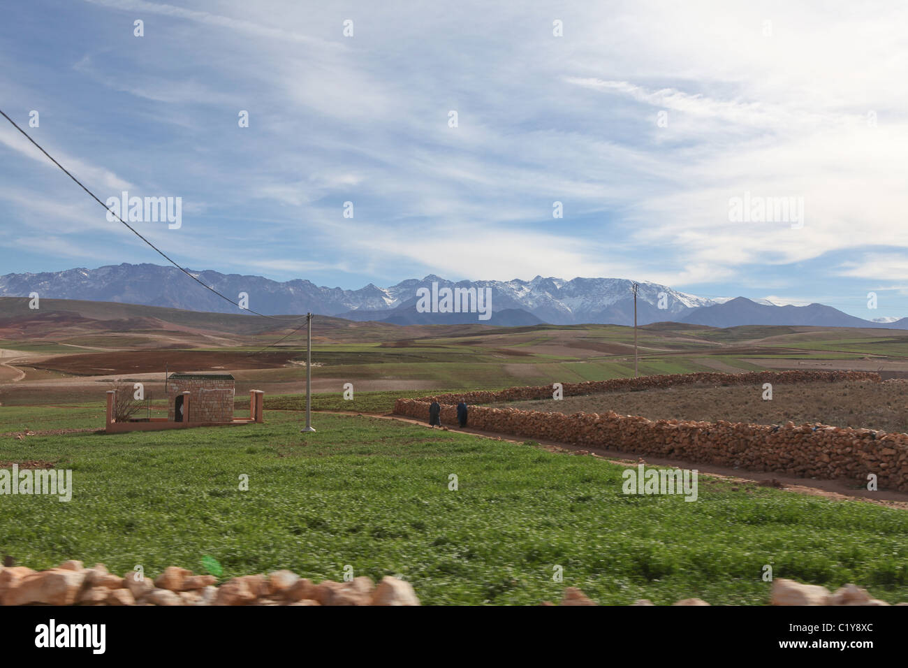 A view of the snow capped Atlas mountains from Le plateau de kik ...