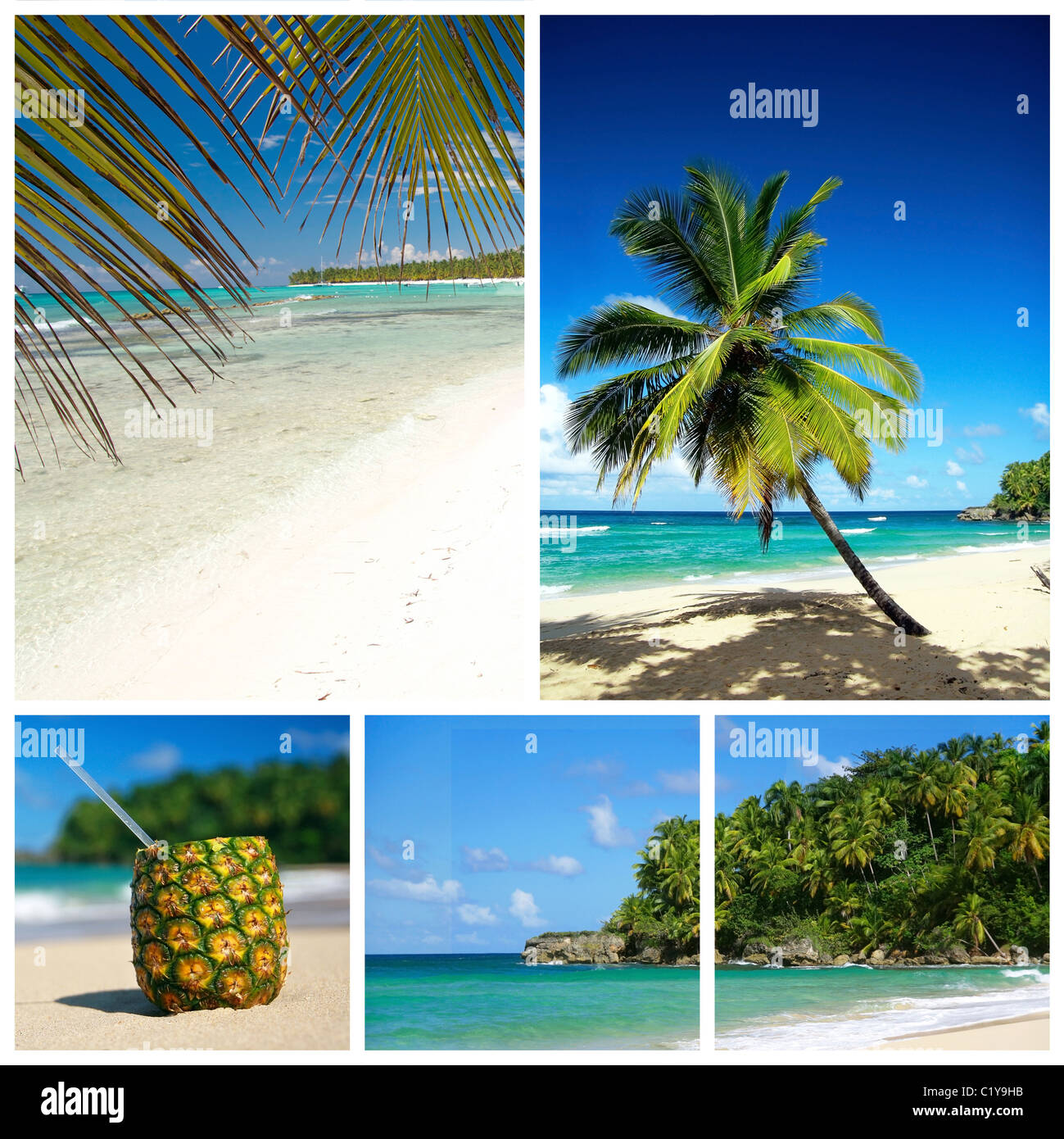 Caribbean beach collage. Beach with palm and and exotic cocktail Stock ...