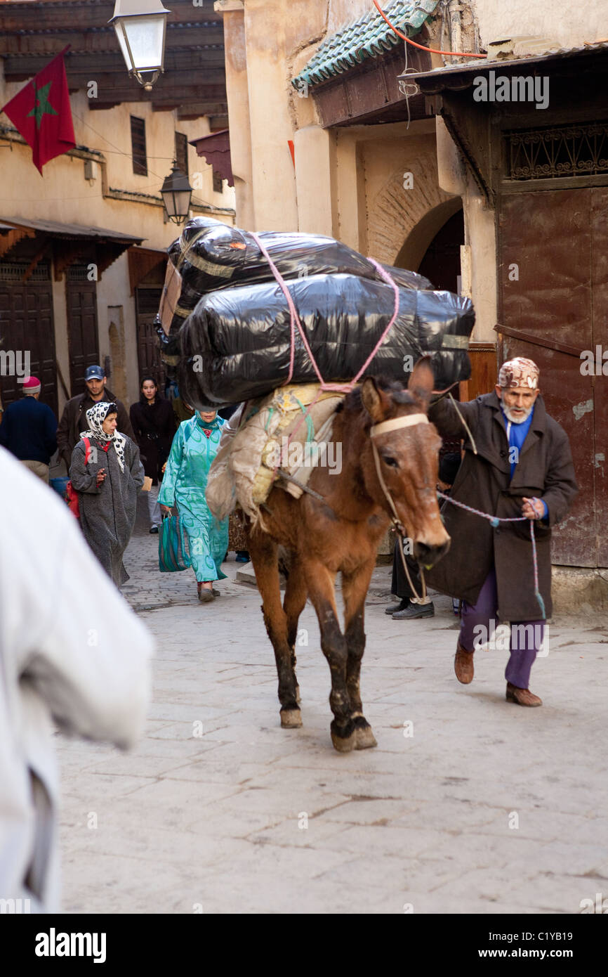 Donkey carrying supplies, Fez Medina, Morocco Stock Photo - Alamy