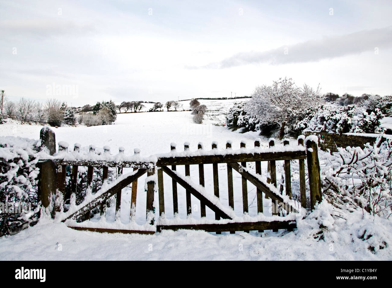 Wooden gate in winter Stock Photo - Alamy