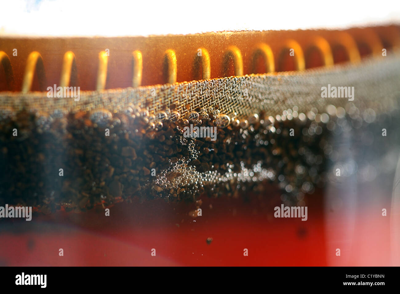 coffee percolating in a cafetiere Stock Photo - Alamy