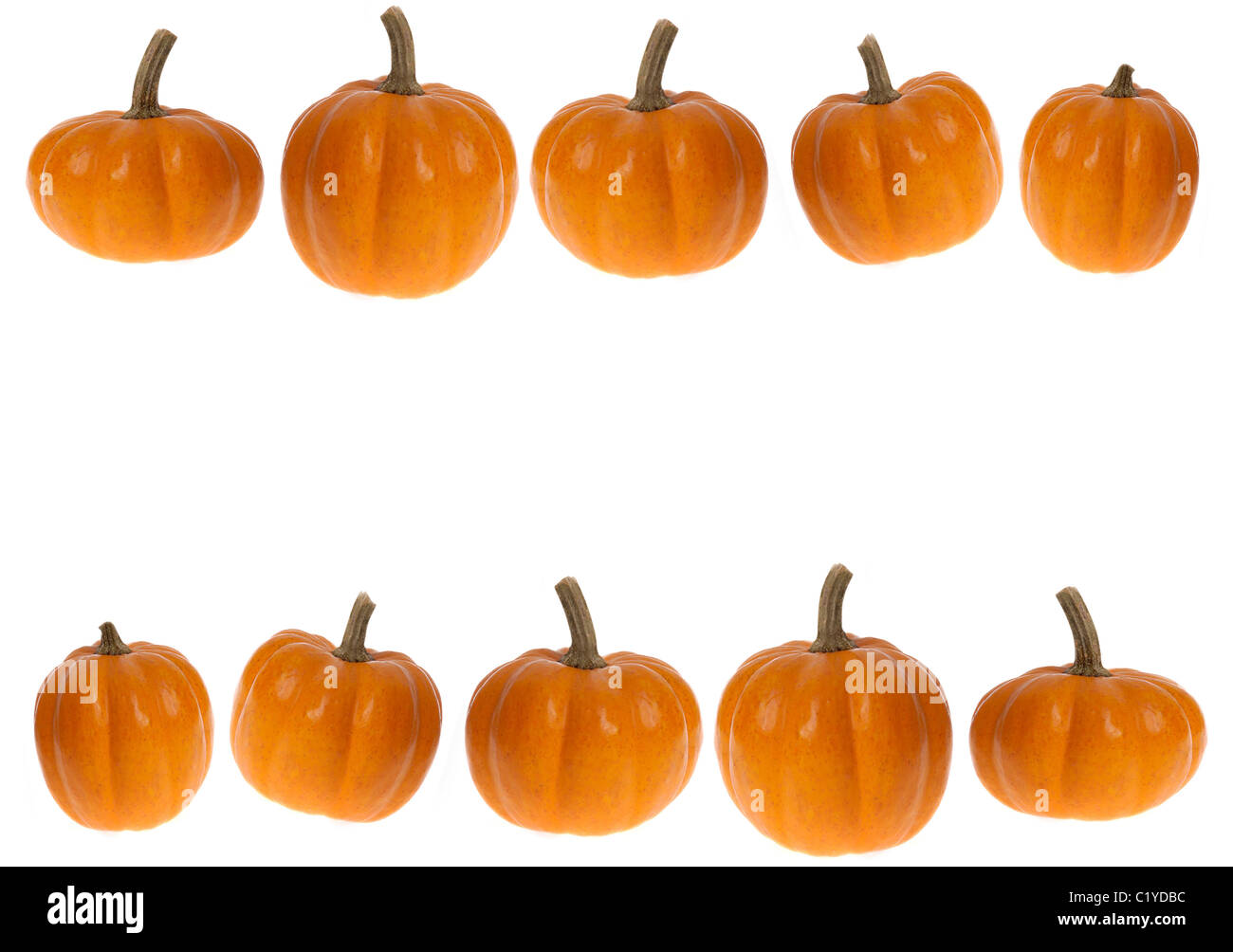 Pumplin Border Pumpkin Border PNG Transparent Images Free Download
