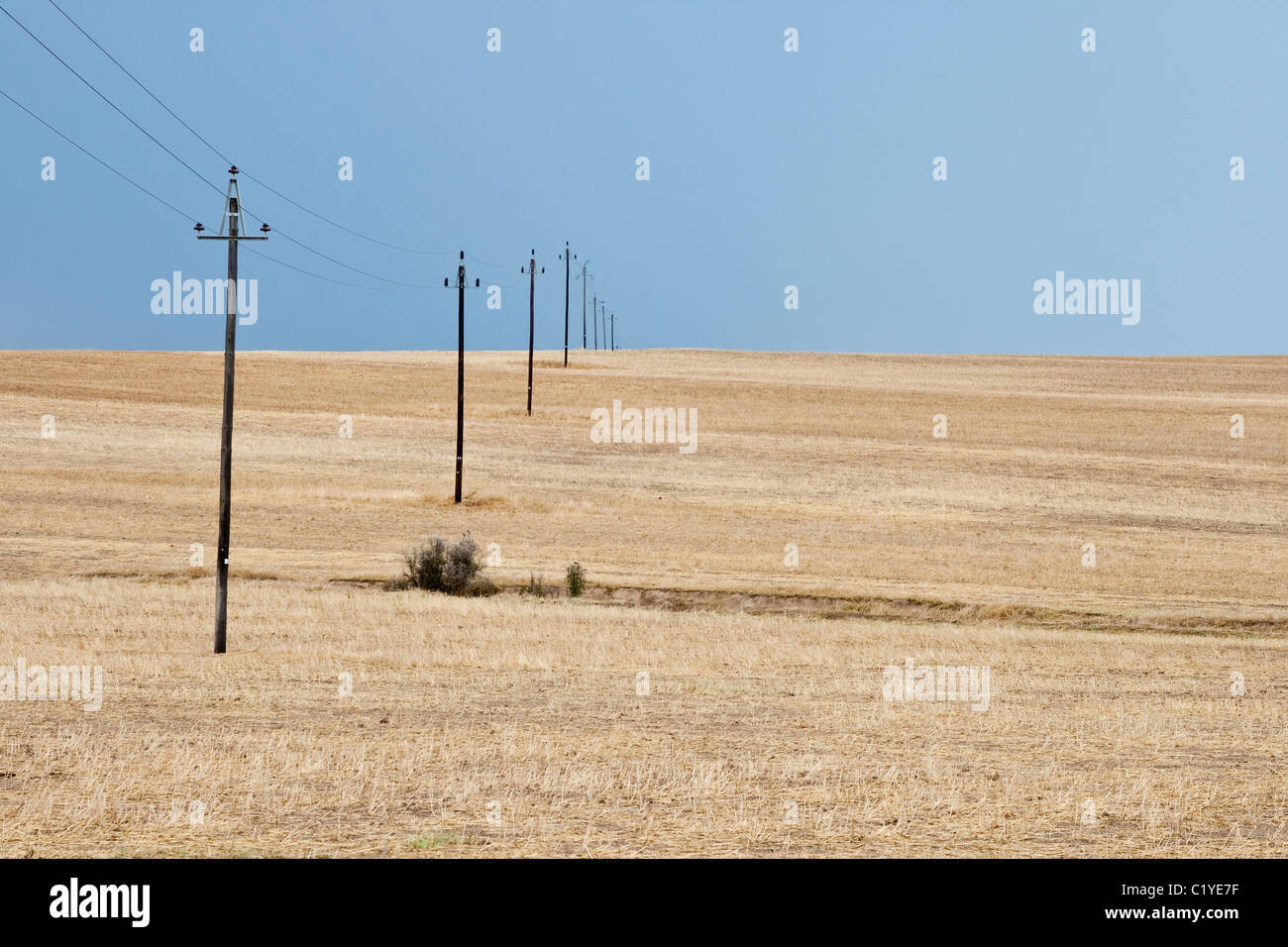 Powerline leading through the left hand side of an open field Stock ...