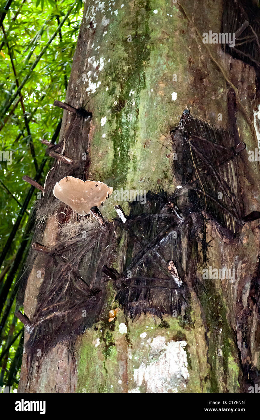 Macabre religious traditions hi-res stock photography and images - Alamy