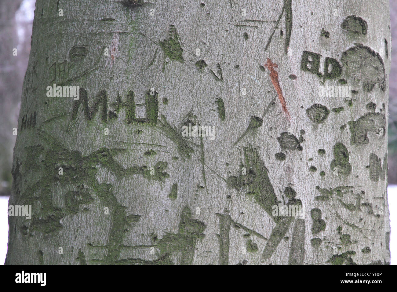 letters and symbols carved into an abused tree trunk Stock Photo - Alamy