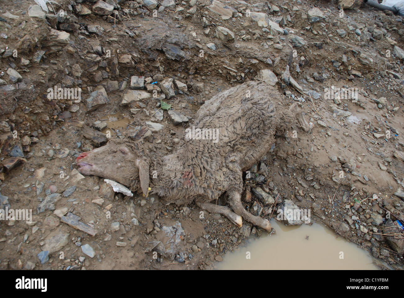 Turkey Flooding Flash floods that gushed across a major highway and a ...