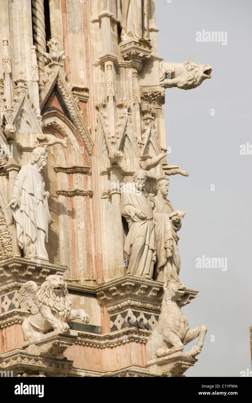 Statues and gargoyles, Siena Cathedral, Siena, Tuscany, Italy Stock ...