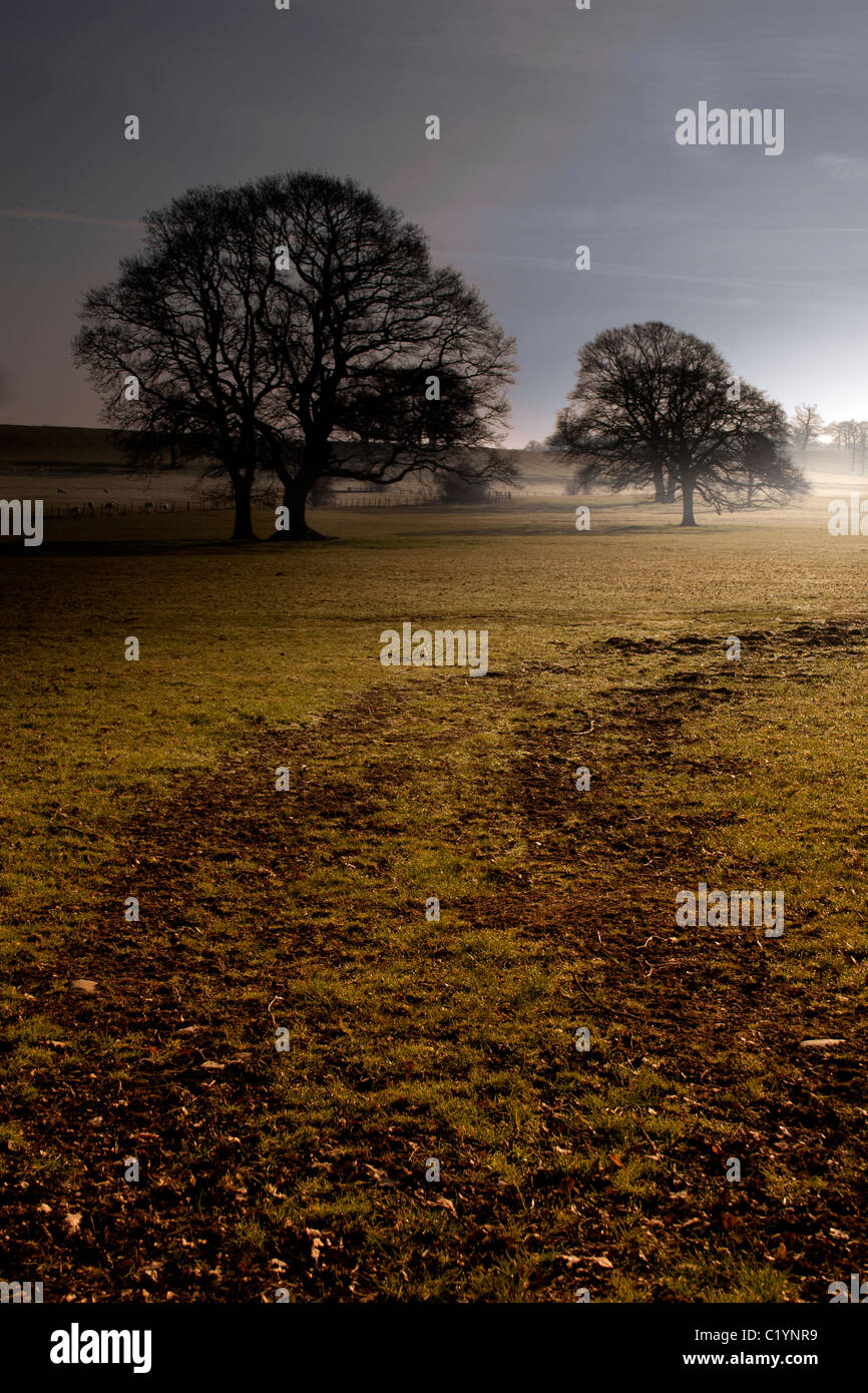 A walk down a country lane in the English countryside, stopping to look ...