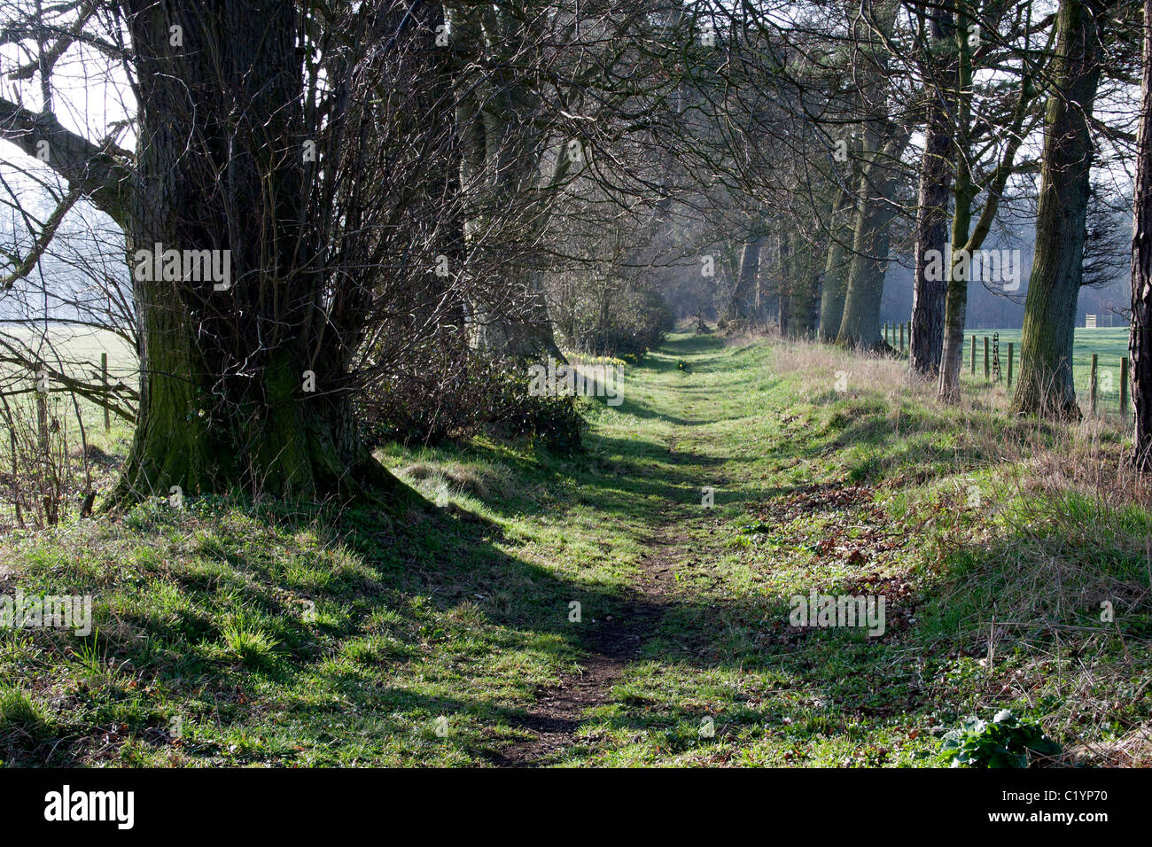 Stopping lane hi-res stock photography and images - Alamy