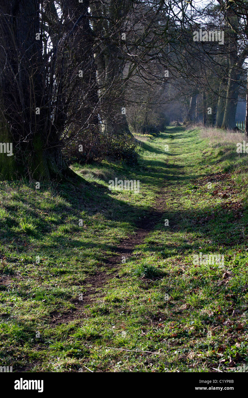A walk down a country lane in the English countryside, stopping to look ...