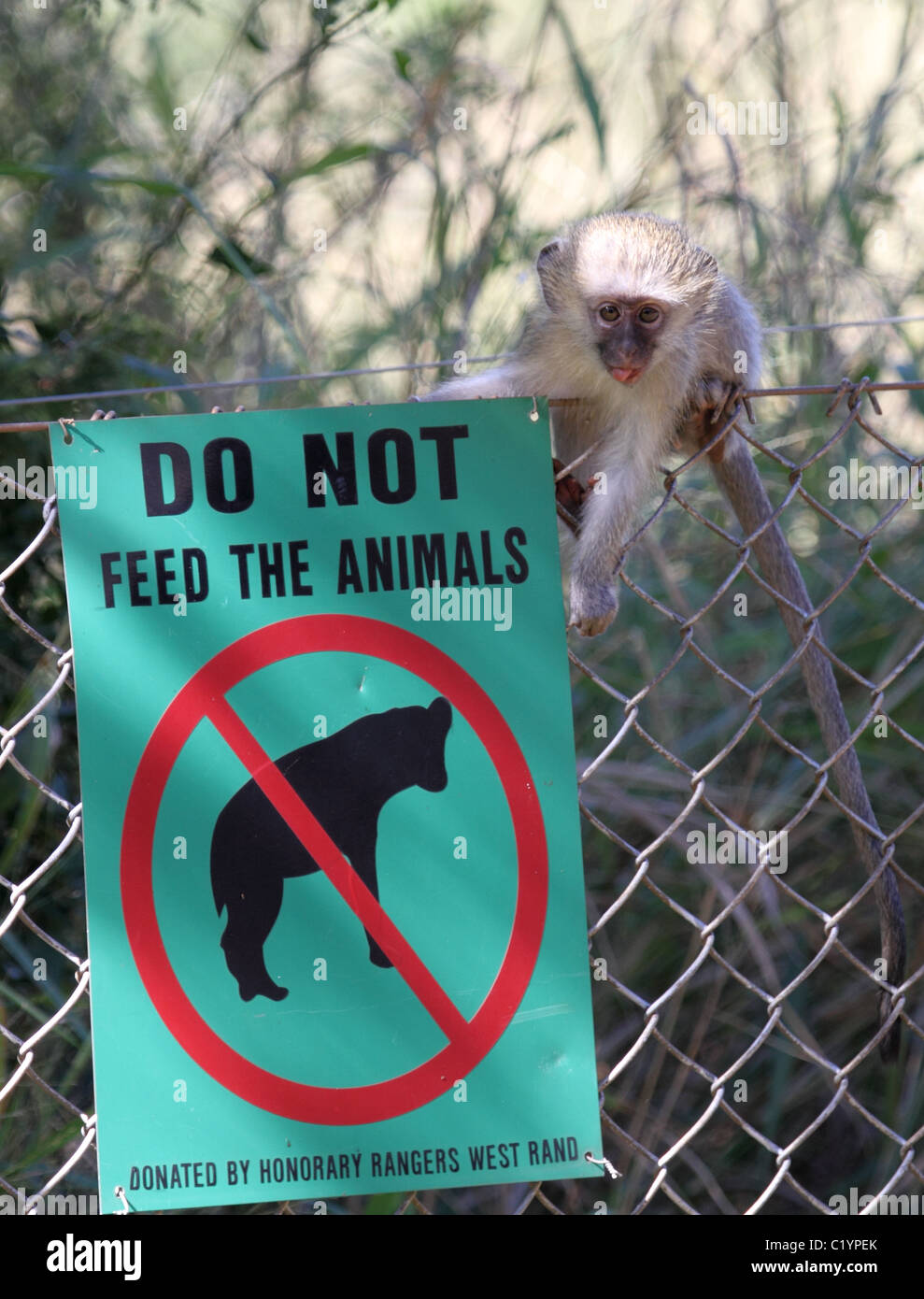 Do not touch sign animals hi-res stock photography and images - Alamy