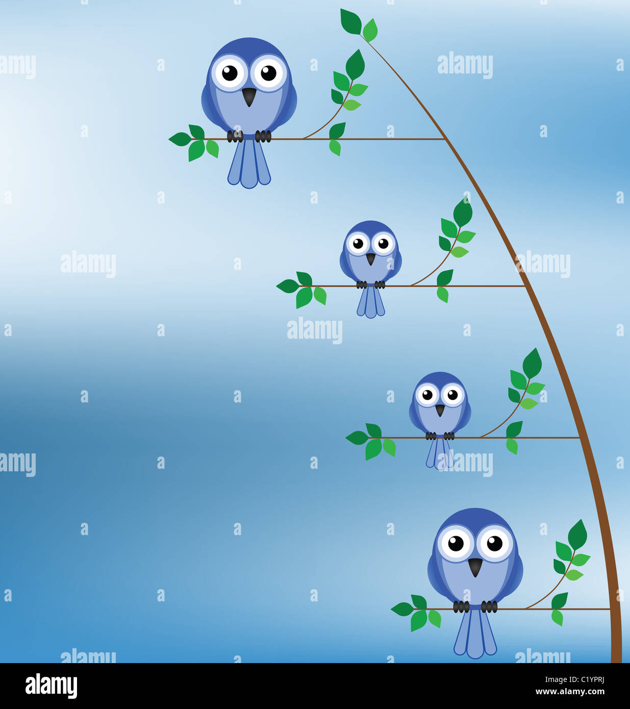 Family of birds sat on a tree branch Stock Photo - Alamy