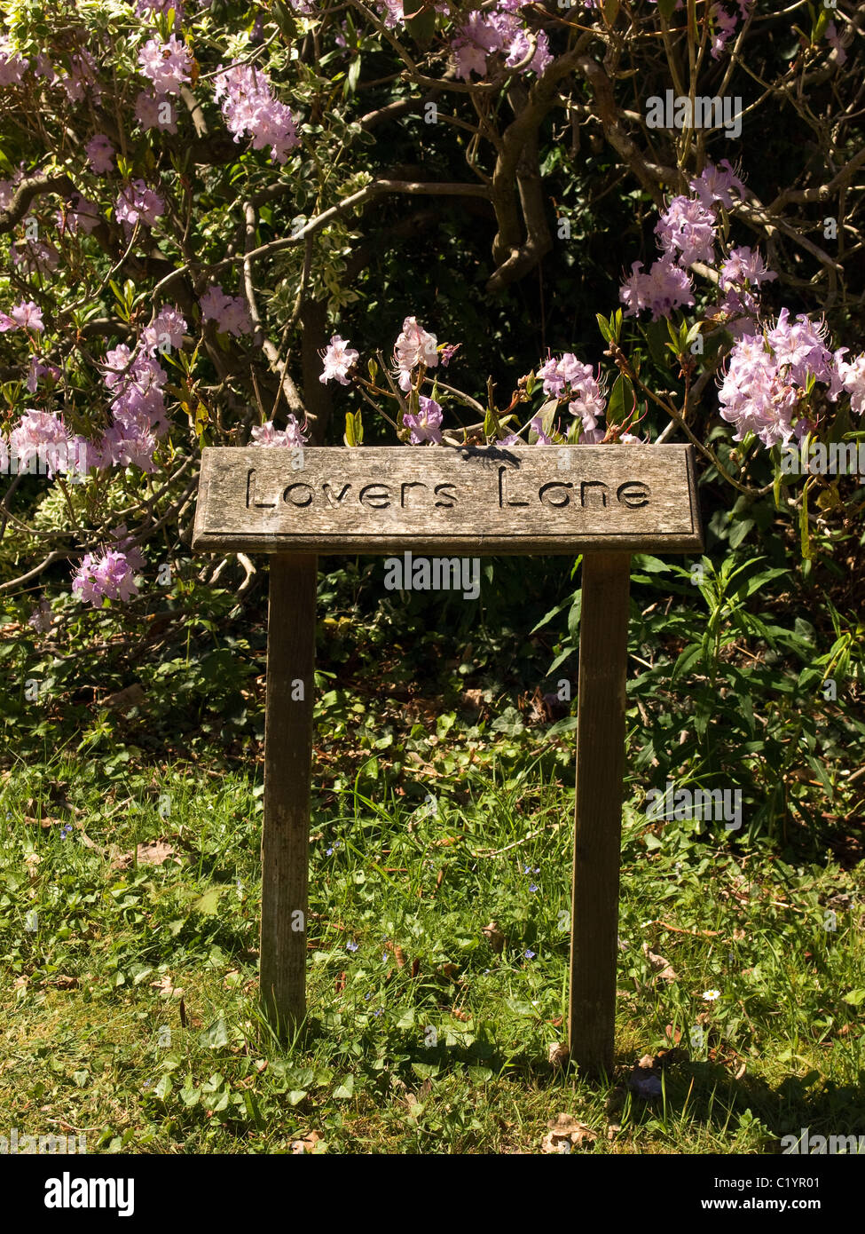 Lovers lane sign hi-res stock photography and images - Alamy