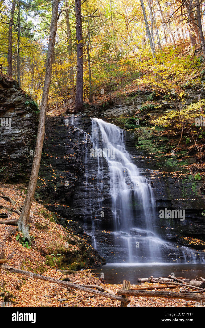 Bushkill waterfalls hi-res stock photography and images - Alamy