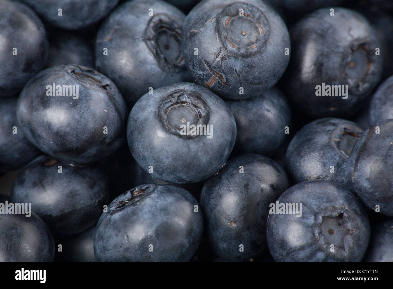 fresh Blueberry close up shot Stock Photo - Alamy